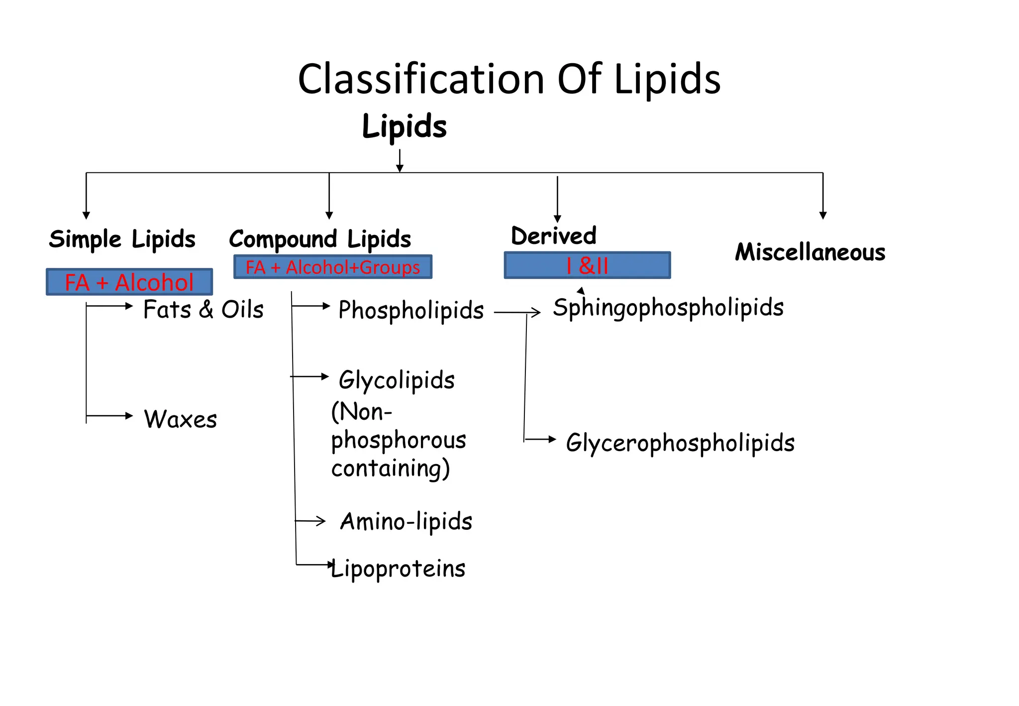 Classification of Lipids- Complete Chemistry | PDF