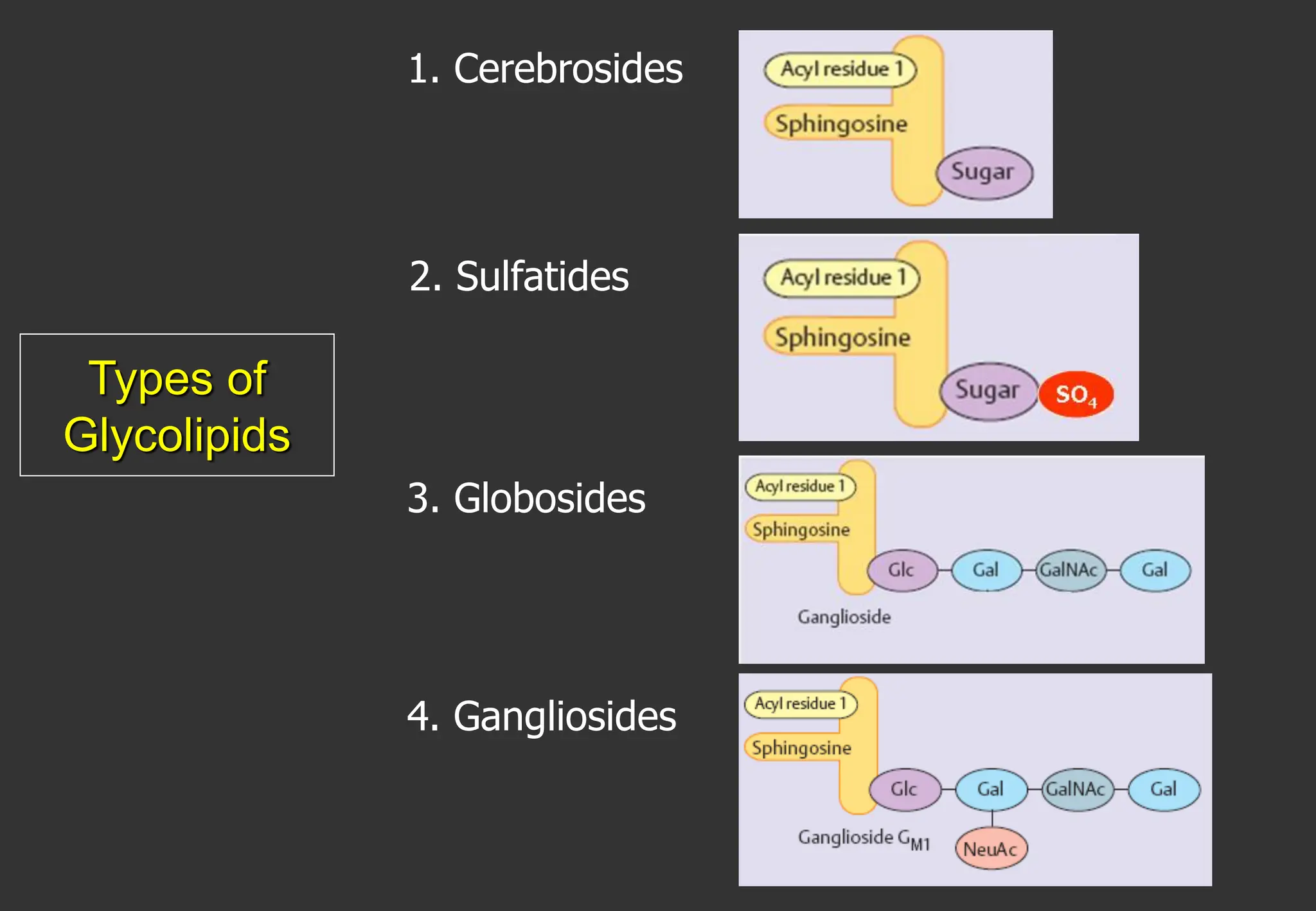 Classification of Lipids- Complete Chemistry | PDF