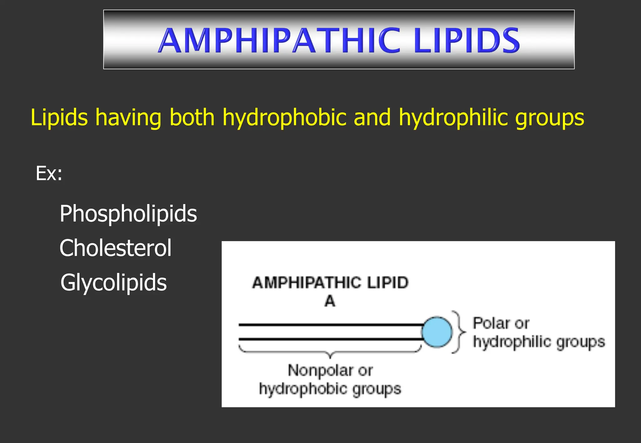 Classification of Lipids- Complete Chemistry | PDF