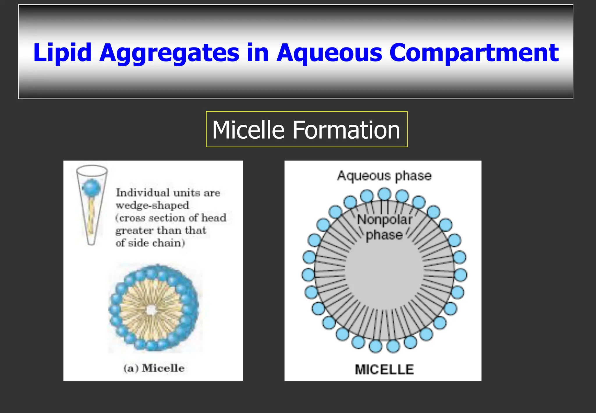 Classification of Lipids- Complete Chemistry | PDF