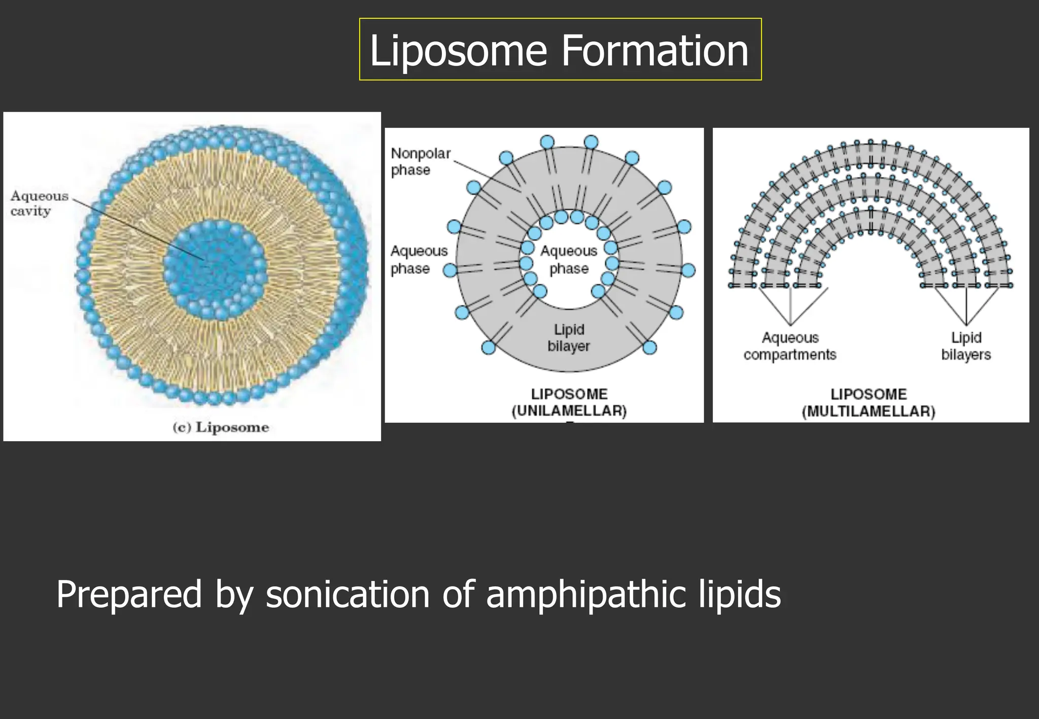 Classification of Lipids- Complete Chemistry | PDF
