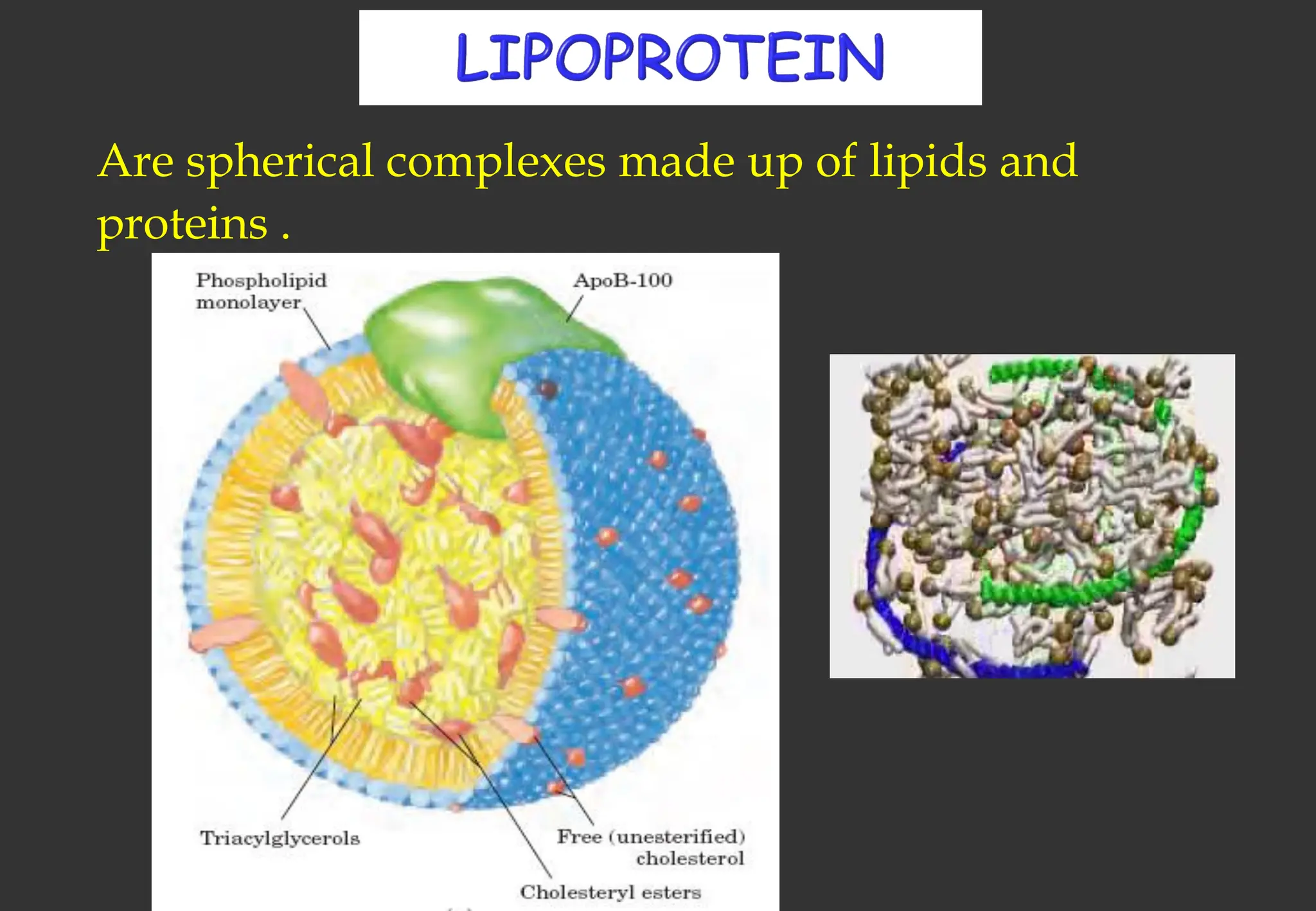 Classification of Lipids- Complete Chemistry | PDF