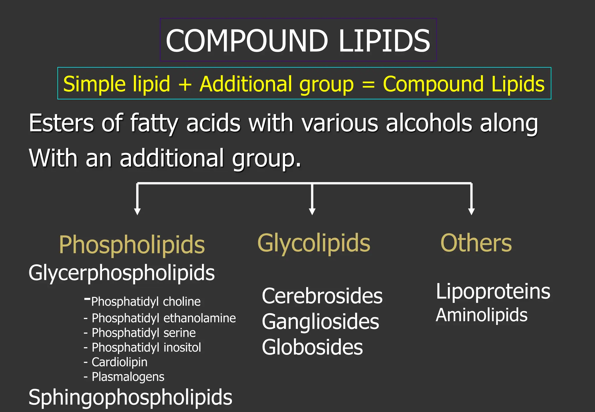 Classification of Lipids- Complete Chemistry | PDF