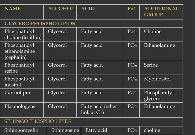 Classification of Lipids- Complete Chemistry | PDF