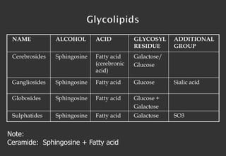 Classification of Lipids- Complete Chemistry | PDF