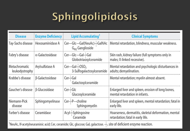 Classification of Lipids- Complete Chemistry | PDF