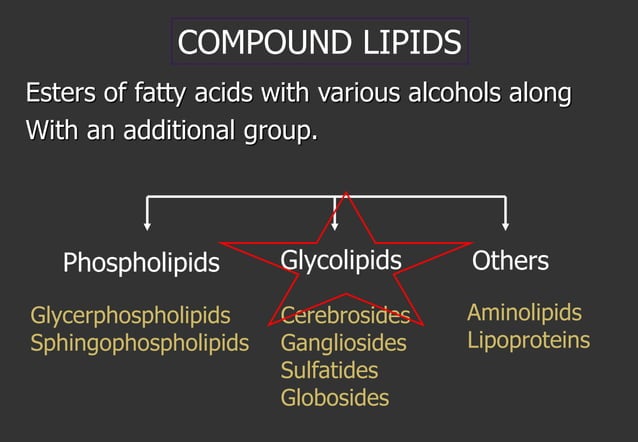 Classification of Lipids- Complete Chemistry | PDF