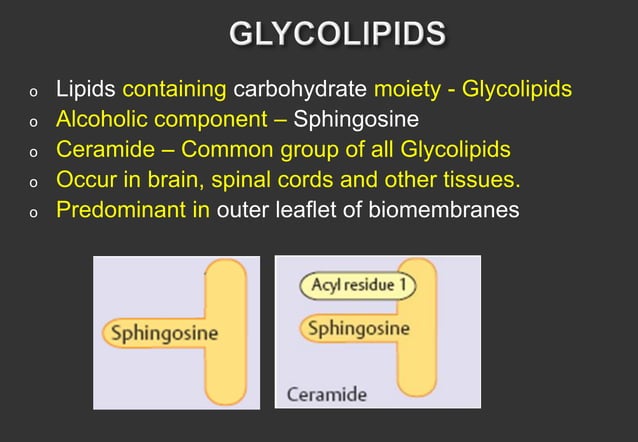 Classification of Lipids- Complete Chemistry | PDF