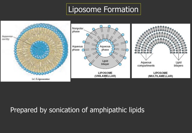 Classification of Lipids- Complete Chemistry | PDF