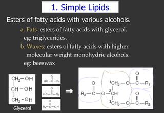 Classification of Lipids- Complete Chemistry | PDF
