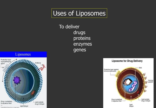 Classification of Lipids- Complete Chemistry | PDF