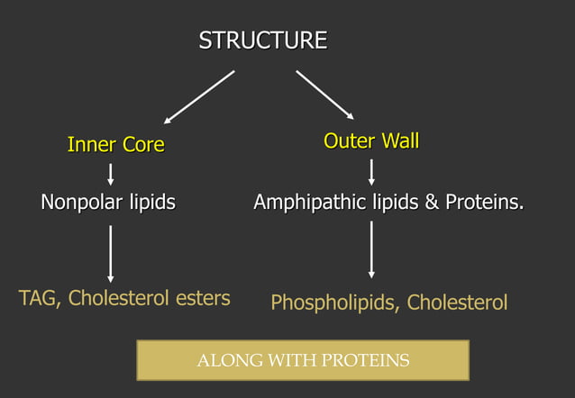 Classification of Lipids- Complete Chemistry | PDF