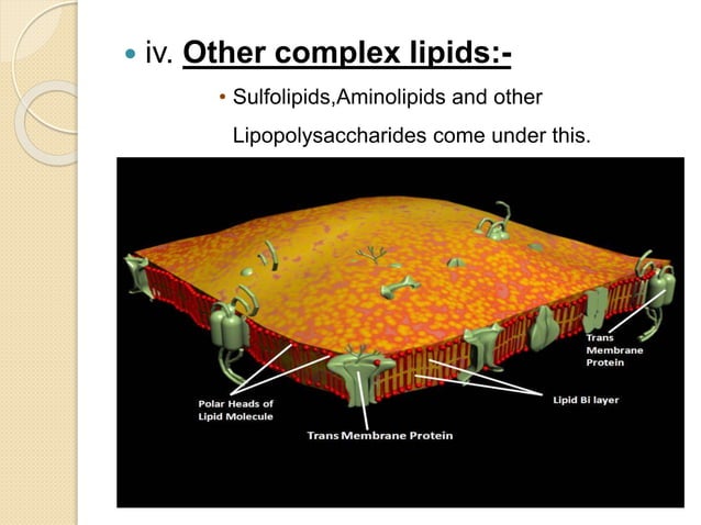 Classification of lipids | PPTX