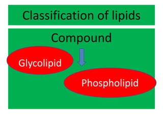 Classification of lipids | PPTX