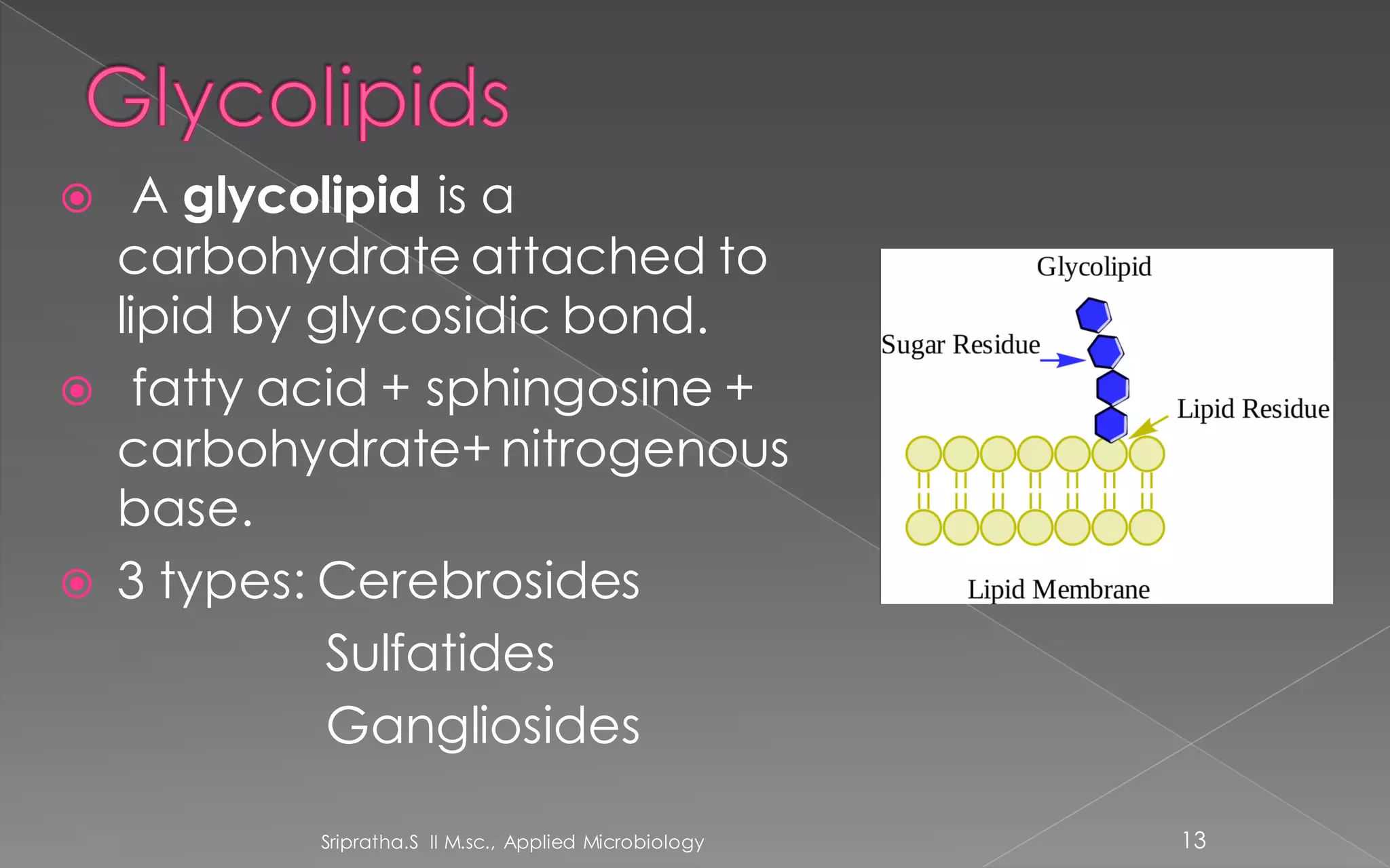 Classification of lipids | PDF