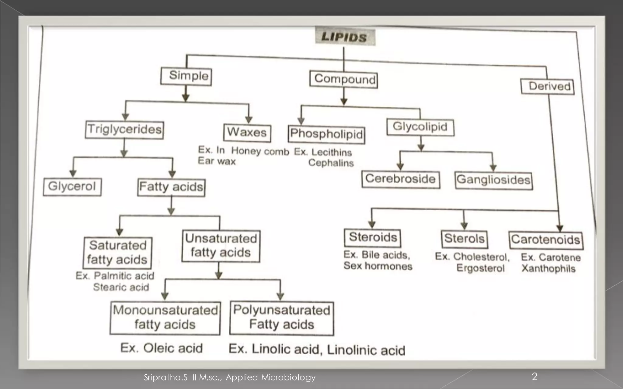 Classification of lipids | PDF