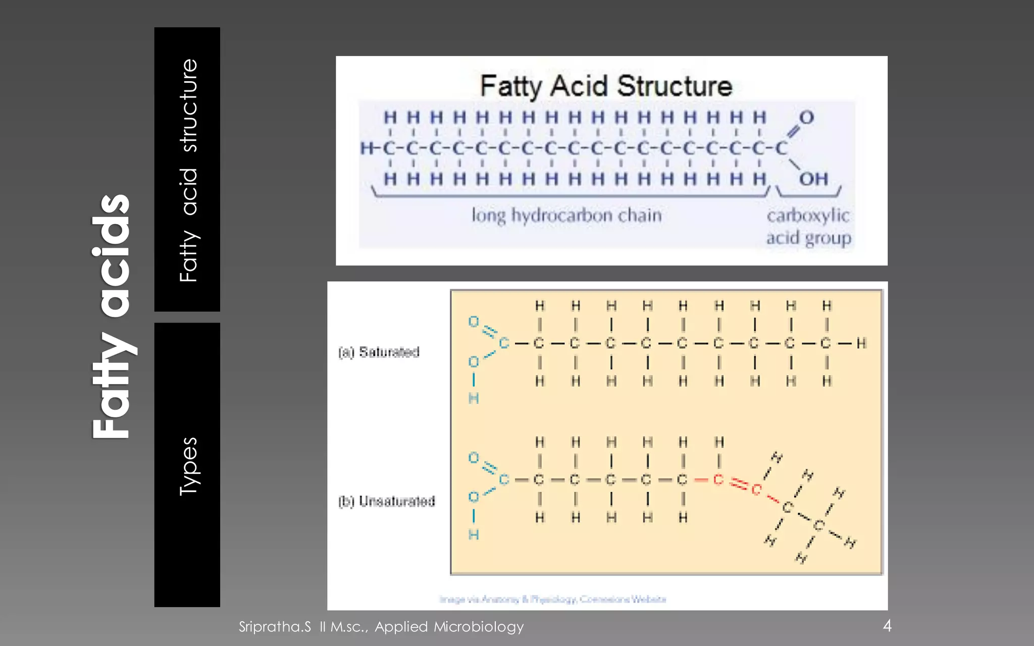 Classification of lipids | PDF