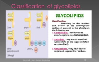 Classification of lipids | PDF