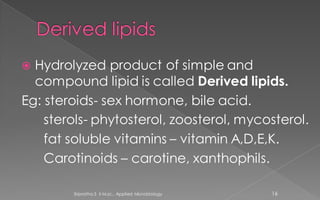 Classification of lipids | PDF