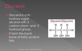 Classification of lipids | PDF