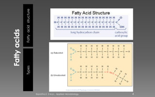 Classification of lipids | PDF