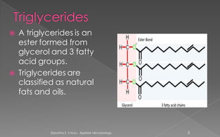 Classification of lipids | PDF