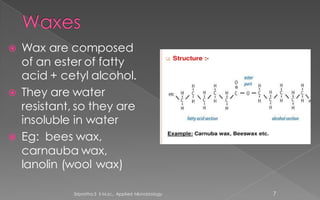 Classification of lipids | PDF