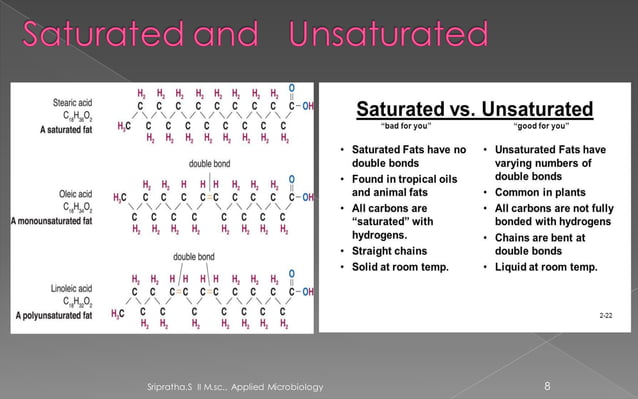 Classification of lipids | PDF
