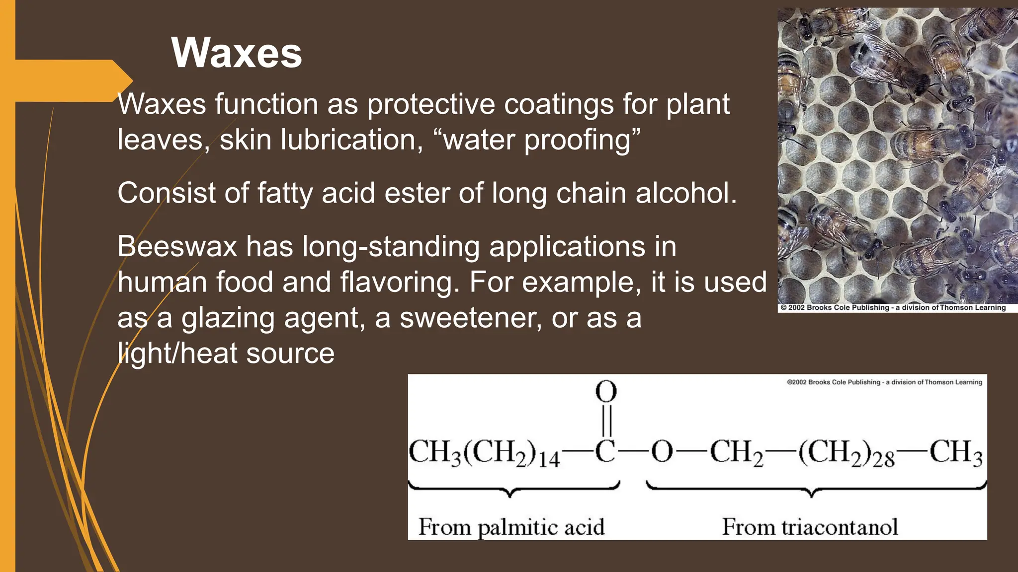 Classification of lipids.pdf