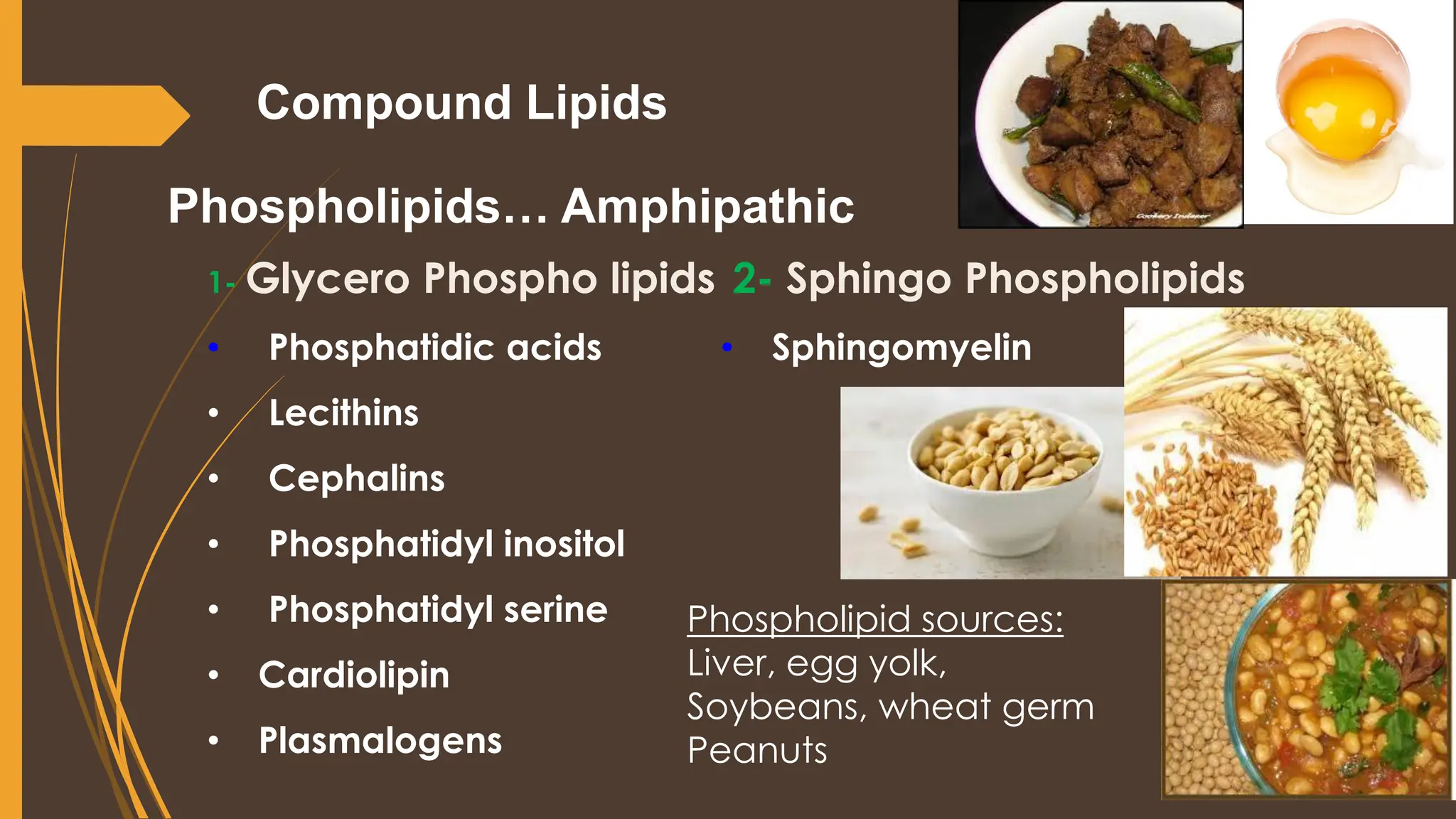 Classification of lipids.pdf