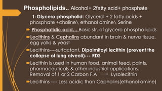 Classification of lipids.pdf