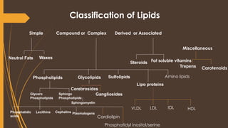 Classification of lipids.pdf
