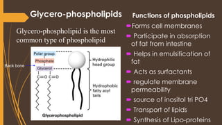 Classification of lipids.pdf