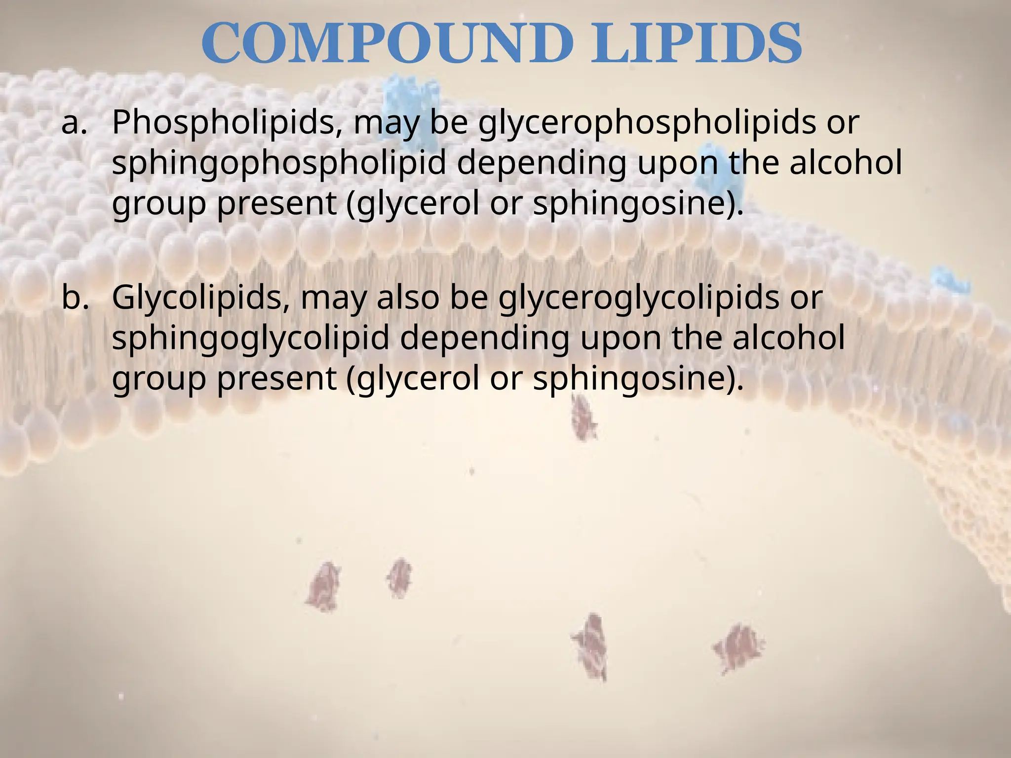 General classification of lipids(presentation) | PPTX