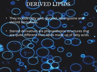 General classification of lipids(presentation) | PPTX
