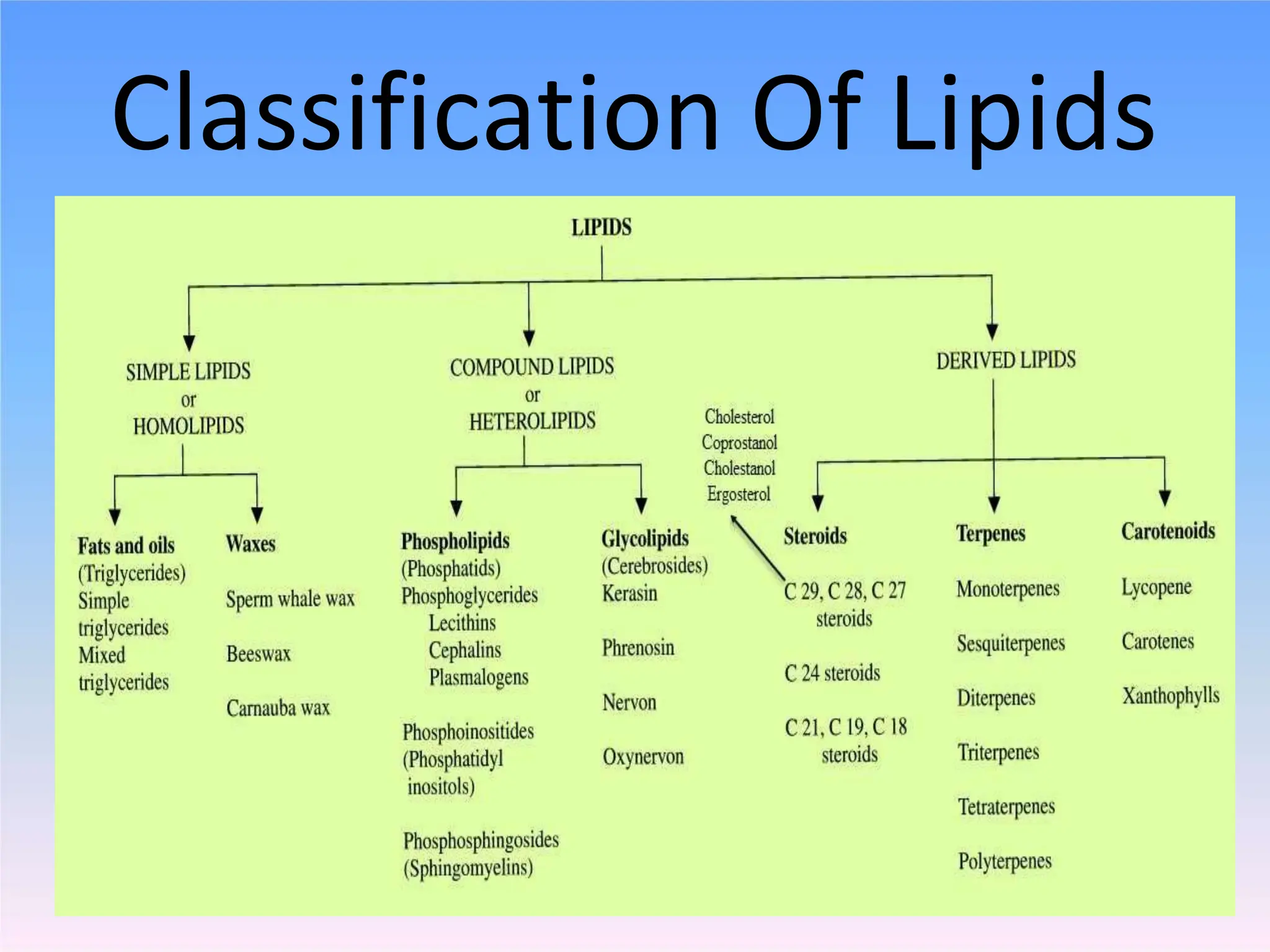 classificationoflipidsaccordingtochemicalstructure-160919155024.pptx