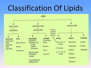 classificationoflipidsaccordingtochemicalstructure-160919155024.pptx