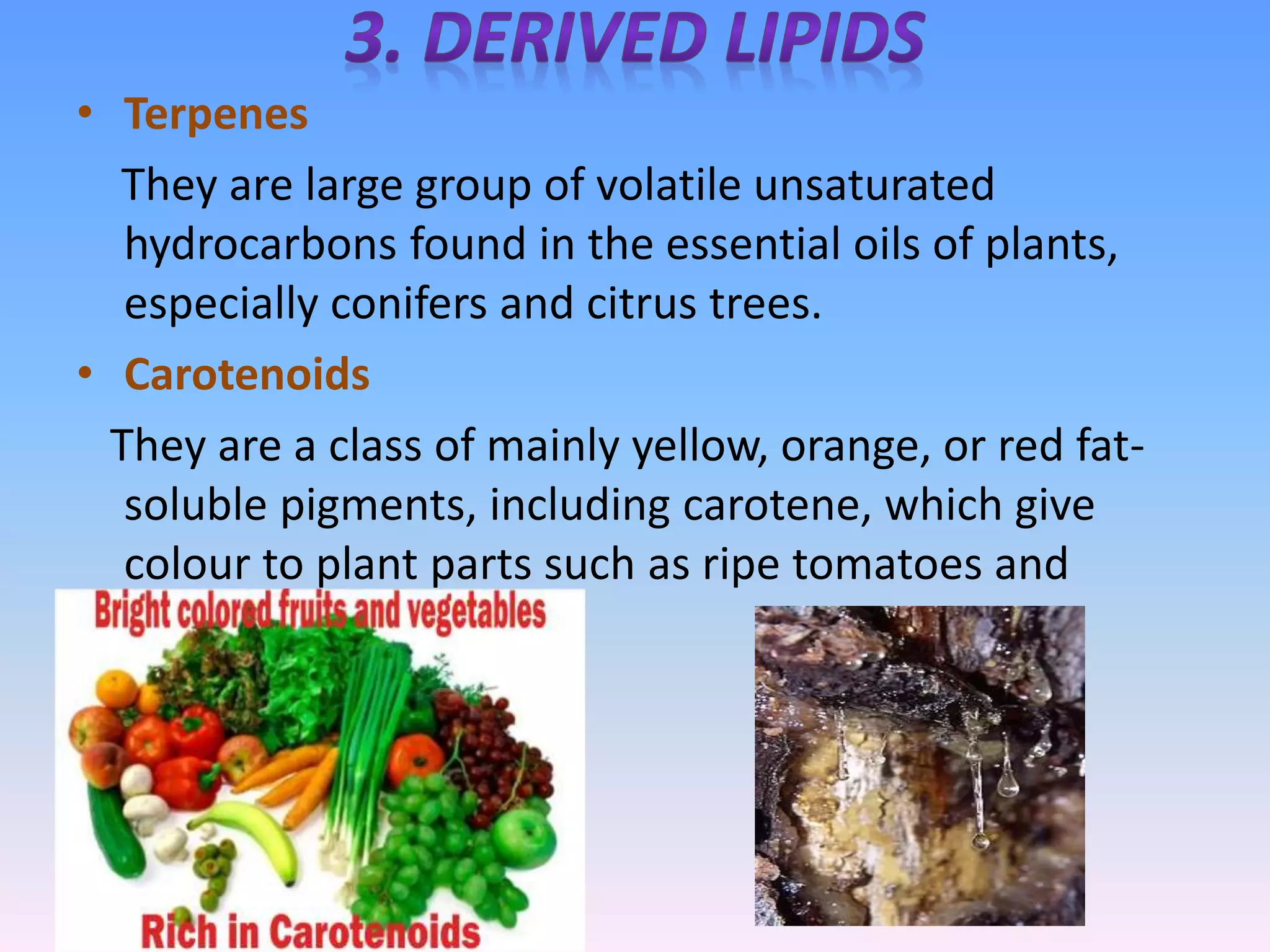Classification of lipids according to chemical structure | PPTX