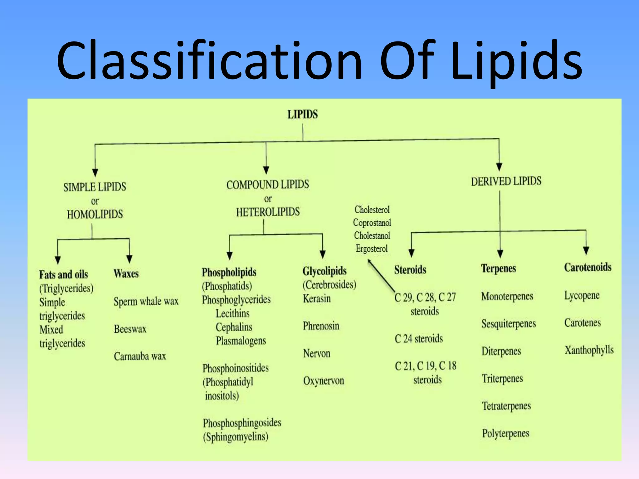 Classification of lipids according to chemical structure | PPTX