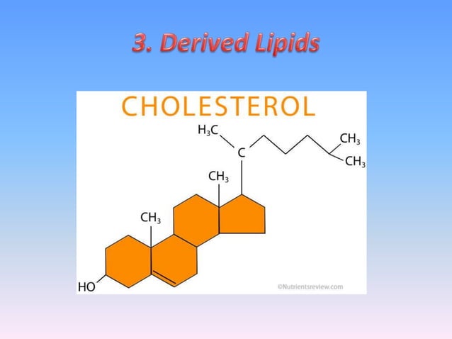 Classification of lipids according to chemical structure | PPTX ...
