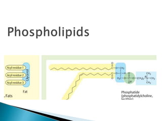 Classification of Lipids By Danish Shafi MIr.pptx