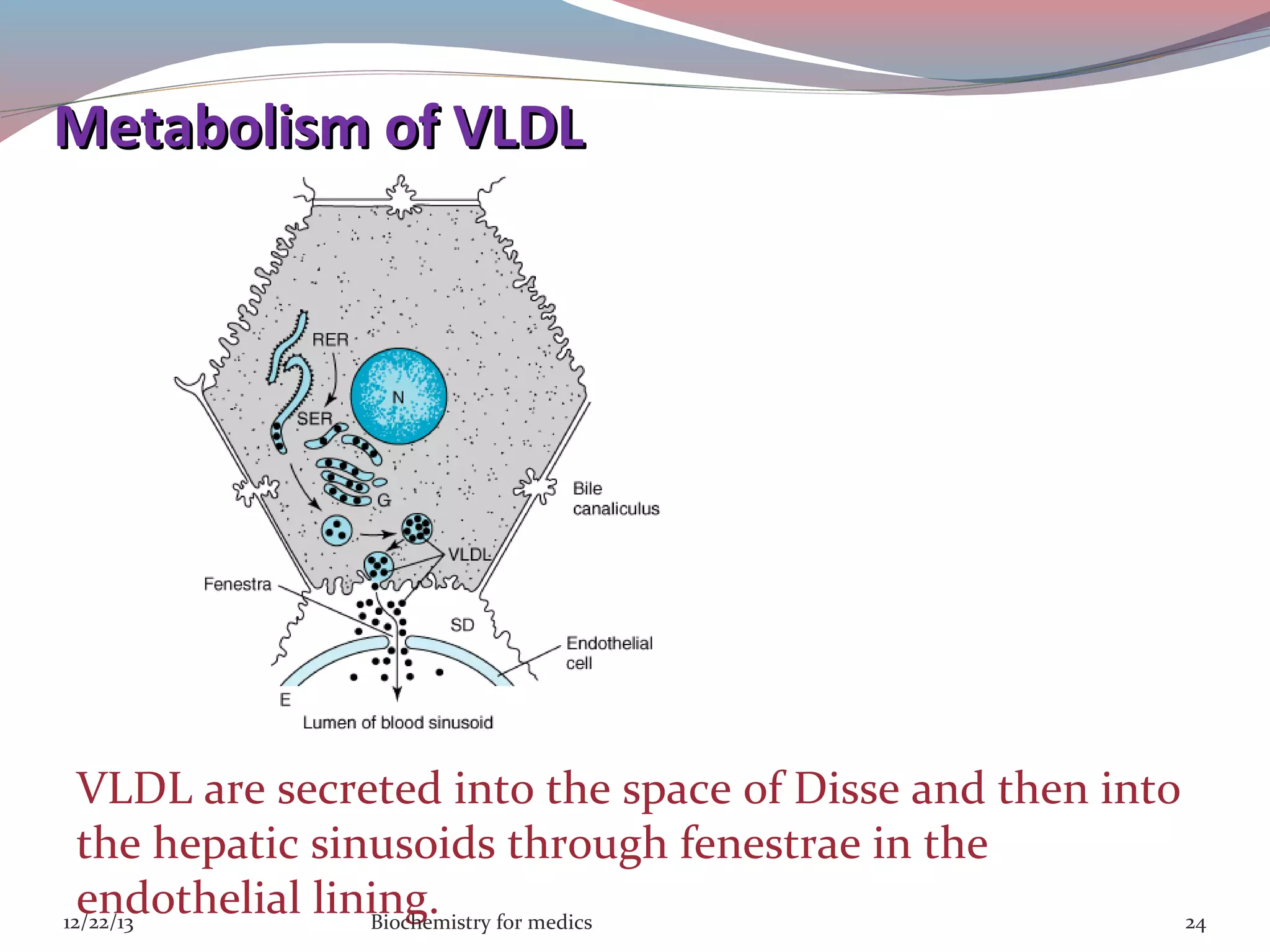 CLASSIFICATION of lipoproteins- (1).pdf
