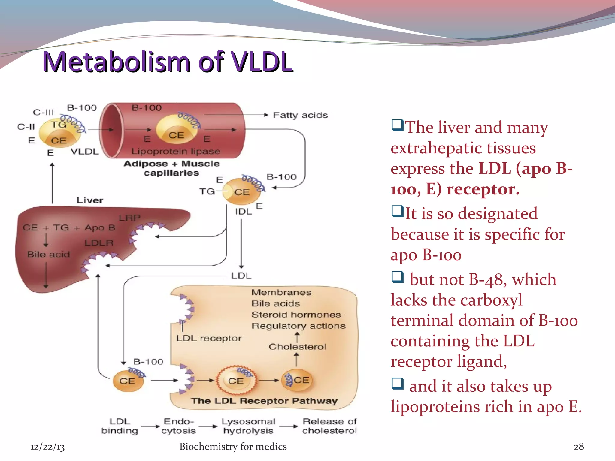 CLASSIFICATION of lipoproteins- (1).pdf