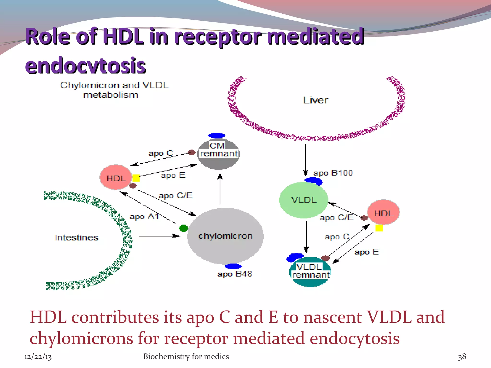 CLASSIFICATION of lipoproteins- (1).pdf