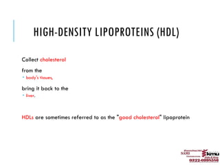 classification of lipoproteins in easy way .pptx