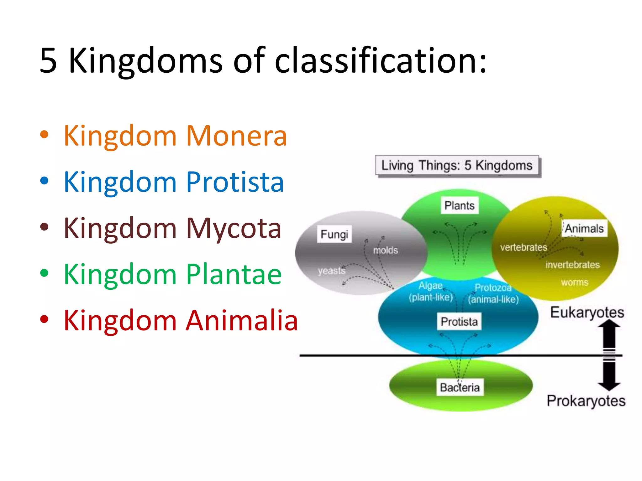 Classification of living organisms | PPTX