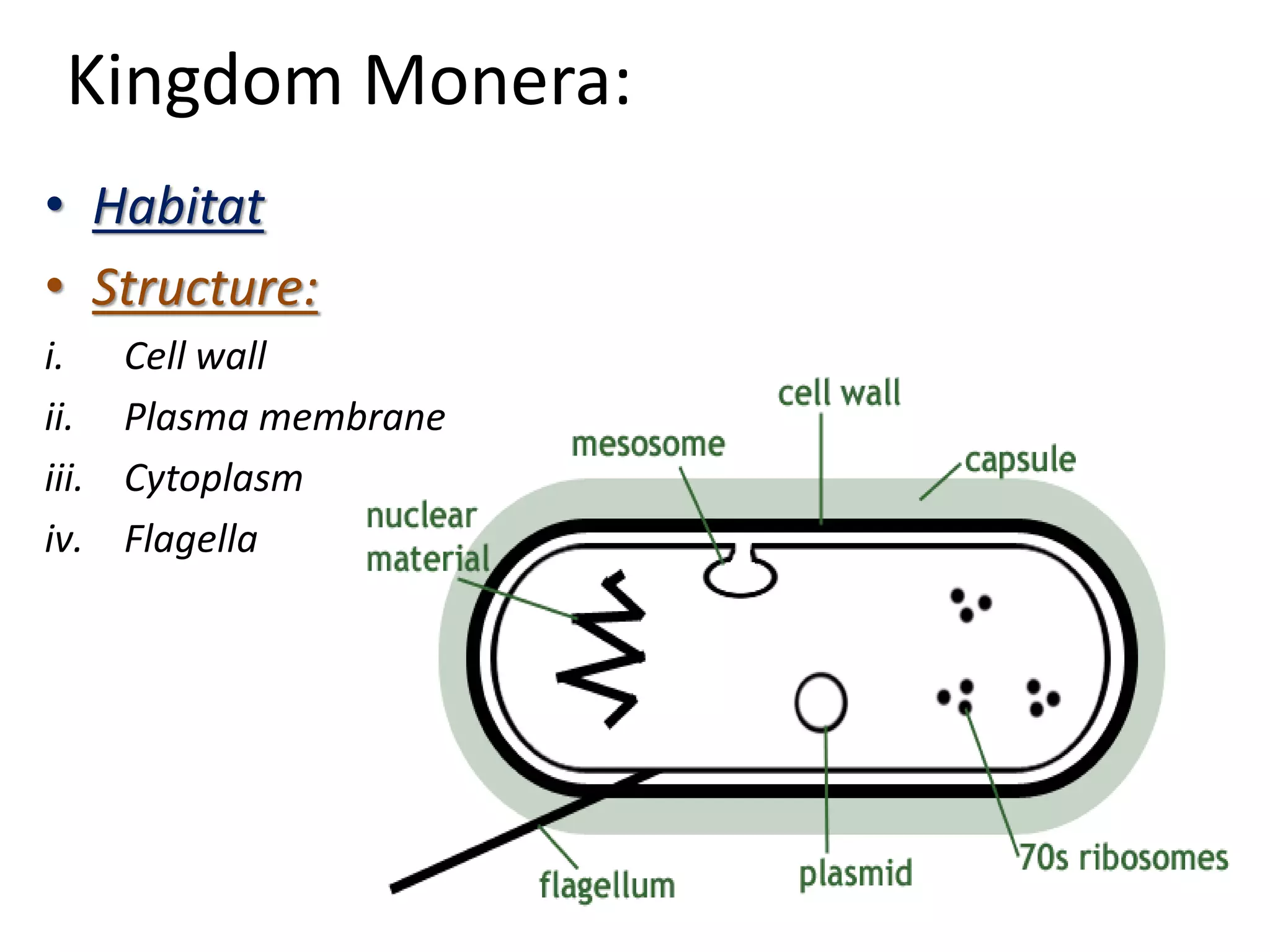 Classification of living organisms | PPTX