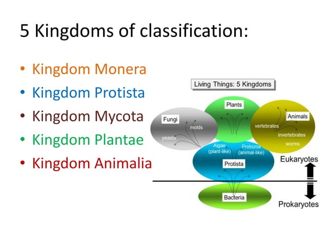 Classification of living organisms | PPTX | Zoos & Aquariums | Attractions
