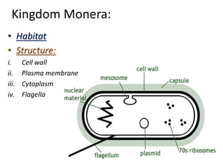 Classification of living organisms | PPTX