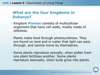 Classification of living thing holt | PPT